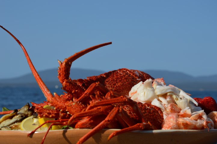 Tasmanian Seafood Seduction